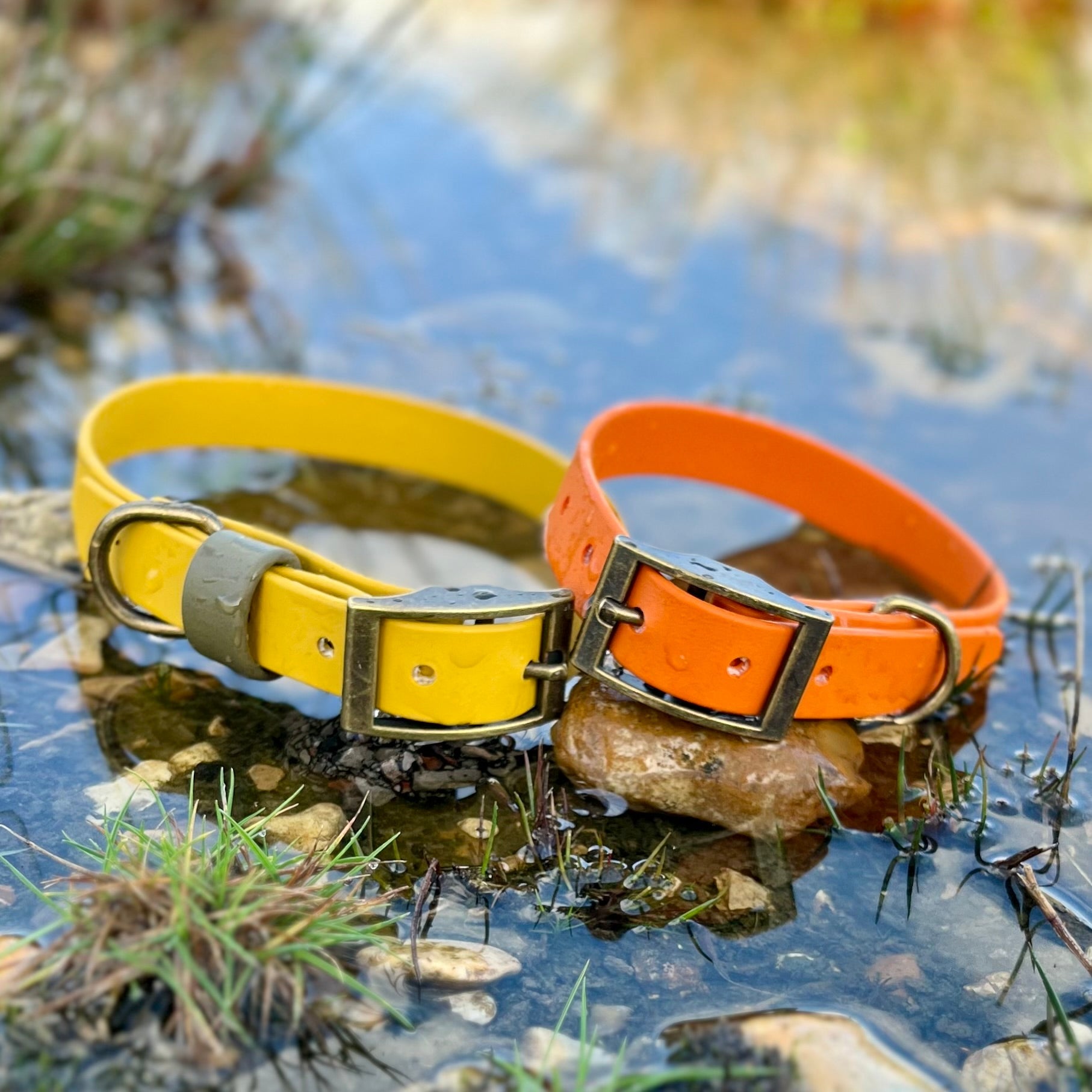 BioThane® Dog Collars – Cooper and Me Dog Wear