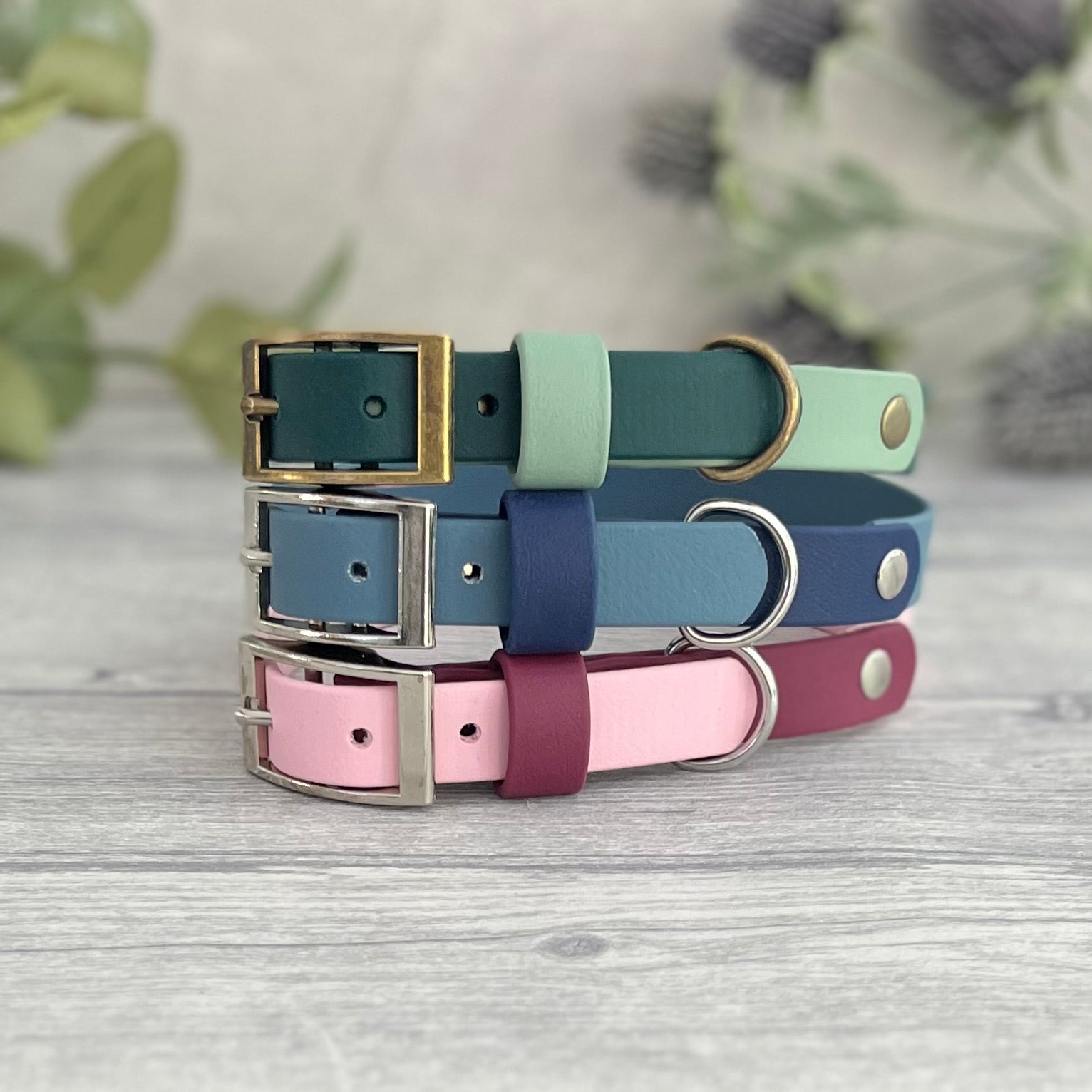 Two Tone BioThane® Dog Collars – Cooper and Me Dog Wear